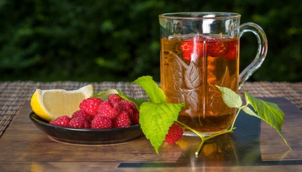 Чай из листа малины (ферментированный): польза для организма
